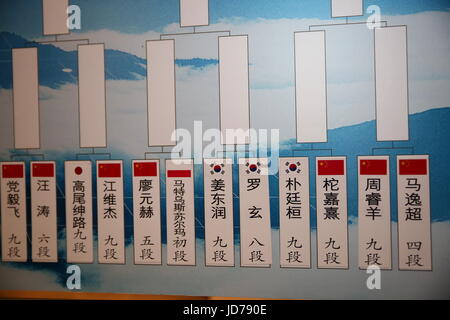 Chinese Go player Nie Weiping attends the closing ceremony of the 2015 ...