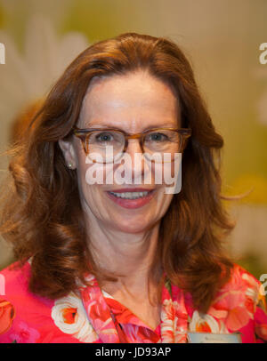 BIRGITTE BONNESEN CEO for Swedbank 2017 Stock Photo - Alamy
