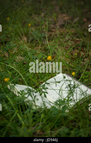 open book with flower on grass Stock Photo - Alamy
