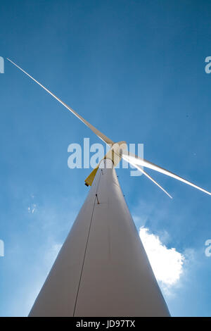 Texas, Lubbock, American Wind Power Center, windmill museum Stock Photo ...