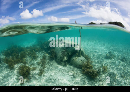 Japanese Jake Fighter seaplane, Micronesia, Palau Stock Photo - Alamy