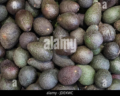 spain - avocados Stock Photo - Alamy
