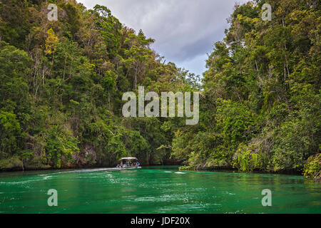 Forested limestone cliffs, Gam, Dampier Strait, Raja Ampat, Western New ...