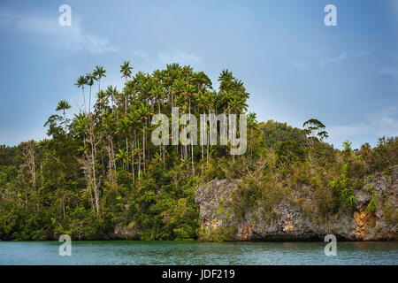 Forested limestone cliffs, Gam, Dampier Strait, Raja Ampat, Western New ...