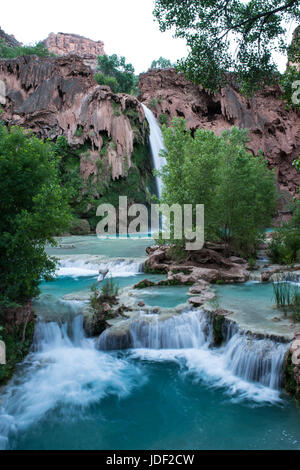 Swimming at Havasupai Falls Stock Photo - Alamy