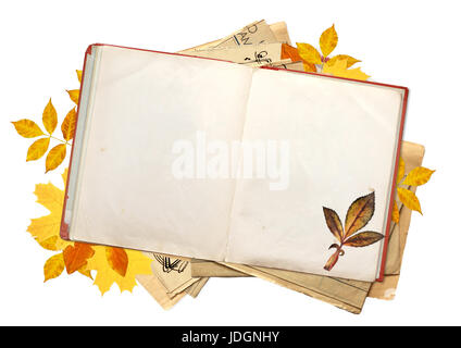 Opened book with blank pages and autumn decor on dark background Stock ...