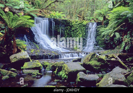 Horseshoe Falls, Mt Field NP, Tasmania, Australia Stock Photo - Alamy