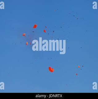 Clay Target Shooting - orange broken clay target lying on the ground ...