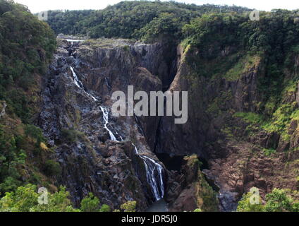 Tourist on boardwalk to Barron River Falls lookout in Barron River ...