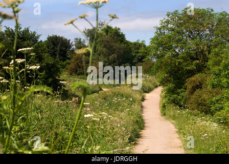 Summerhill Country Park, Hartlepool Stock Photo - Alamy