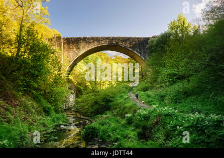 Causey Arch near Stanley in County Durham oldest single span railway ...