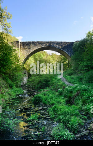 Causey Arch near Stanley in County Durham oldest single span railway ...