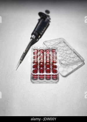 Stem cell cultures in sample tray Stock Photo - Alamy