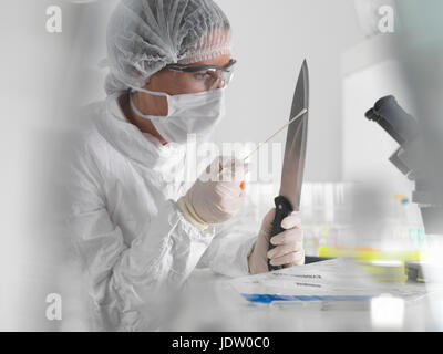 Forensic Science in Lab. Forensic Scientist examining textile for blood ...