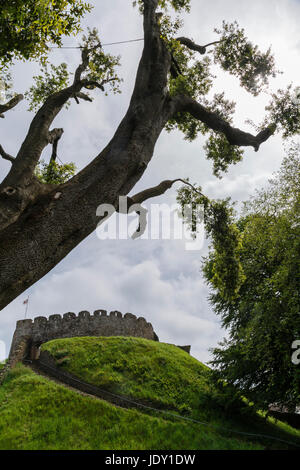 Castle Hill Norman motte and bailey castle earthwork and moat earthwork ...
