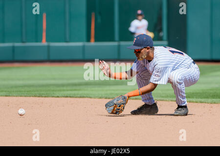 Florida State Seminoles second baseman Drew Faurot (3) throws to first ...