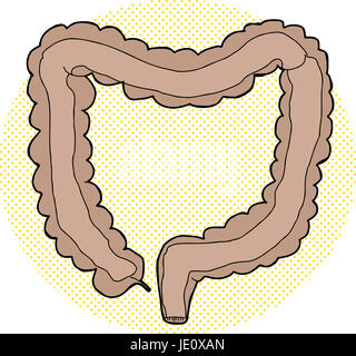 Hand drawn human large intestine outline cartoon Stock Photo - Alamy