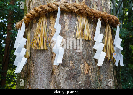 Ujikami-jinja Shrine in Kyoto, Japan Stock Photo - Alamy