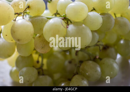 Trauben am Stiel Stock Photo - Alamy