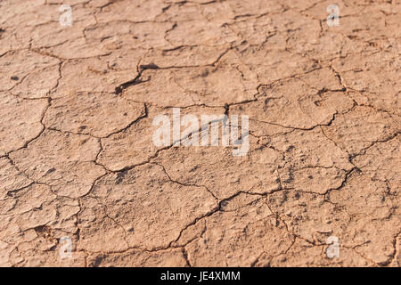 Dried Cracked ground texture - exhausted terrain without water Stock ...