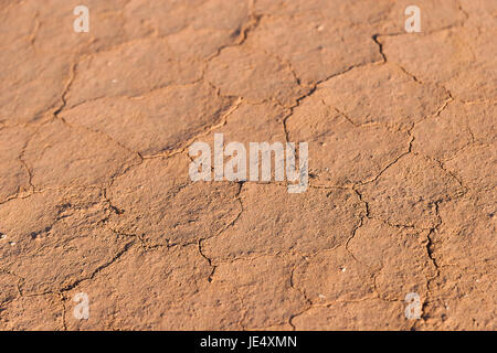 Dried Cracked ground texture - exhausted terrain without water Stock ...