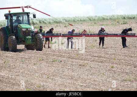 FARM LABOURER in Norfolk, England, about 1880 Stock Photo - Alamy