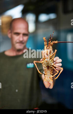 Man eating crayfish outdoors Stock Photo - Alamy