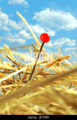Pin in a haystack Stock Photo - Alamy