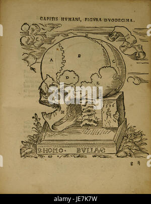 'Dryander Anatomiae Pars Prior' is an anatomical illustration from the ...