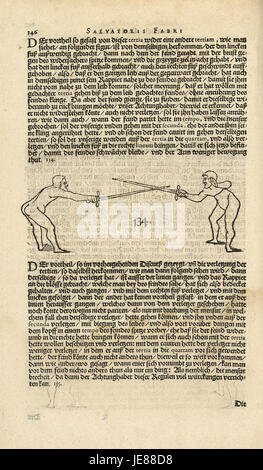 'De Fechten' is a medieval manuscript written by Fabri, offering ...