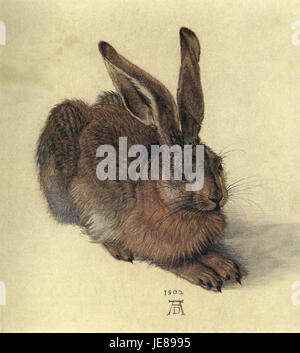 Albrecht Dürer's 'Young Hare' is a detailed watercolor and gouache ...