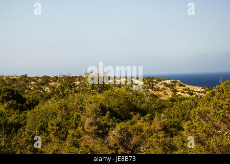 Cyprus desert and sea view with desert plants Stock Photo - Alamy