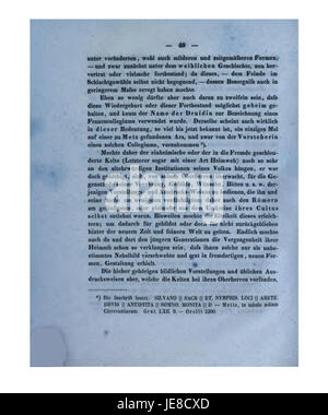 'De Feen in Europa' is a work by Schreiber focusing on the mythical and ...