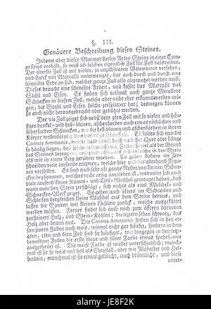 Bauder Marmor, from 1754, refers to a specific marble type used in ...