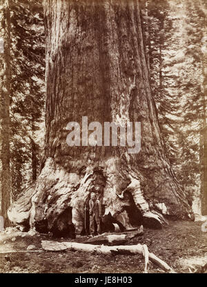 Carleton Watkins, an American photographer, captured iconic landscapes ...