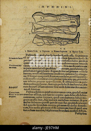 This work, based on the writings of early entomologists like Réaumur ...