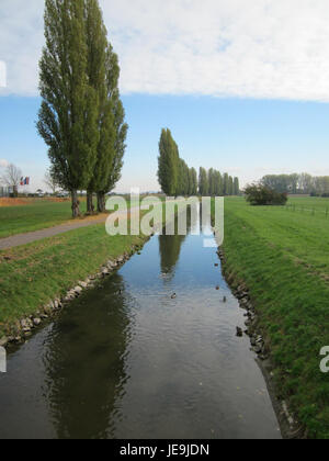 The Pappeln along Kraichbach in Hockenheim are a type of poplar tree ...
