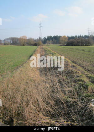 A photograph of Kisselwiesen, a location in Reilingen, Germany ...