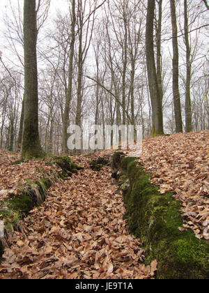 The Sonnenberg, located in Germany, is known for its scenic beauty and ...