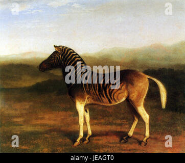 The Quagga was a subspecies of the plains zebra, native to southern ...