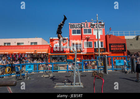 USA, California, Los Angeles, a bodybuilder strikes a pose with a ...