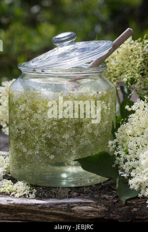 Holunderblüten-Sirup, Holunderblütensirup, Sirup aus Holunderblüten ...