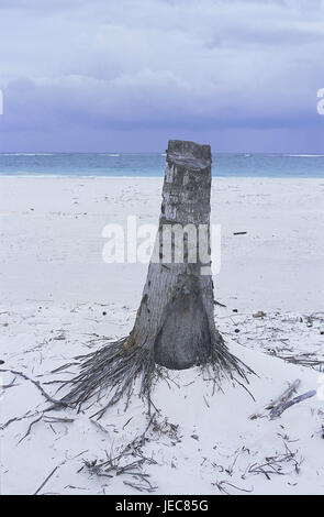 Mexico. Yucatan Peninsula. Tulum. Broken down wharf Stock Photo - Alamy