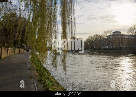 River Front Views in Richmond, London, UK Stock Photo - Alamy