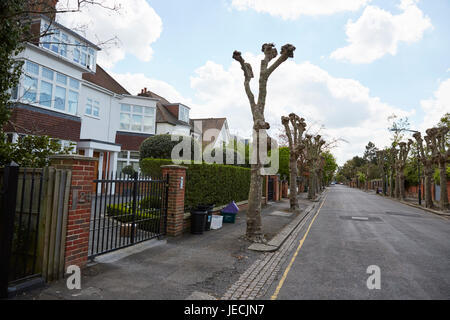 Parkside Gardens, London, UK Stock Photo - Alamy