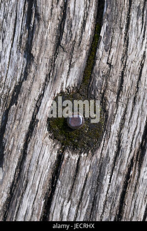 Springboard,close up,woodwork,wooden springboard,wooden structure ...