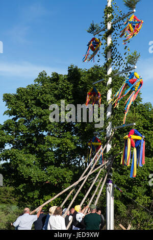 NORDIC TRADITIONAL MIDSUMMER FAMILY FAMILIES: Families dancing around ...