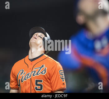 New York Mets catcher Nick Dini (83) on defense during an MLB Spring ...