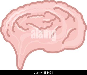 Pink abstract silhouette of human brain background Stock Vector Image ...