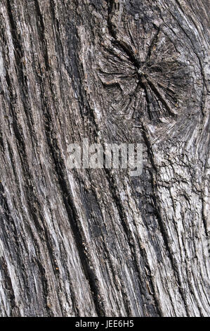 Springboard,close up,woodwork,wooden springboard,wooden structure ...